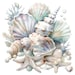12 Seashell Clipart L Sea Shells Coral L JPG Digital Download L ...
