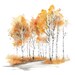 12 Autumn Birch Trees Clipart L Fall Decor L JPG Digital Download L ...