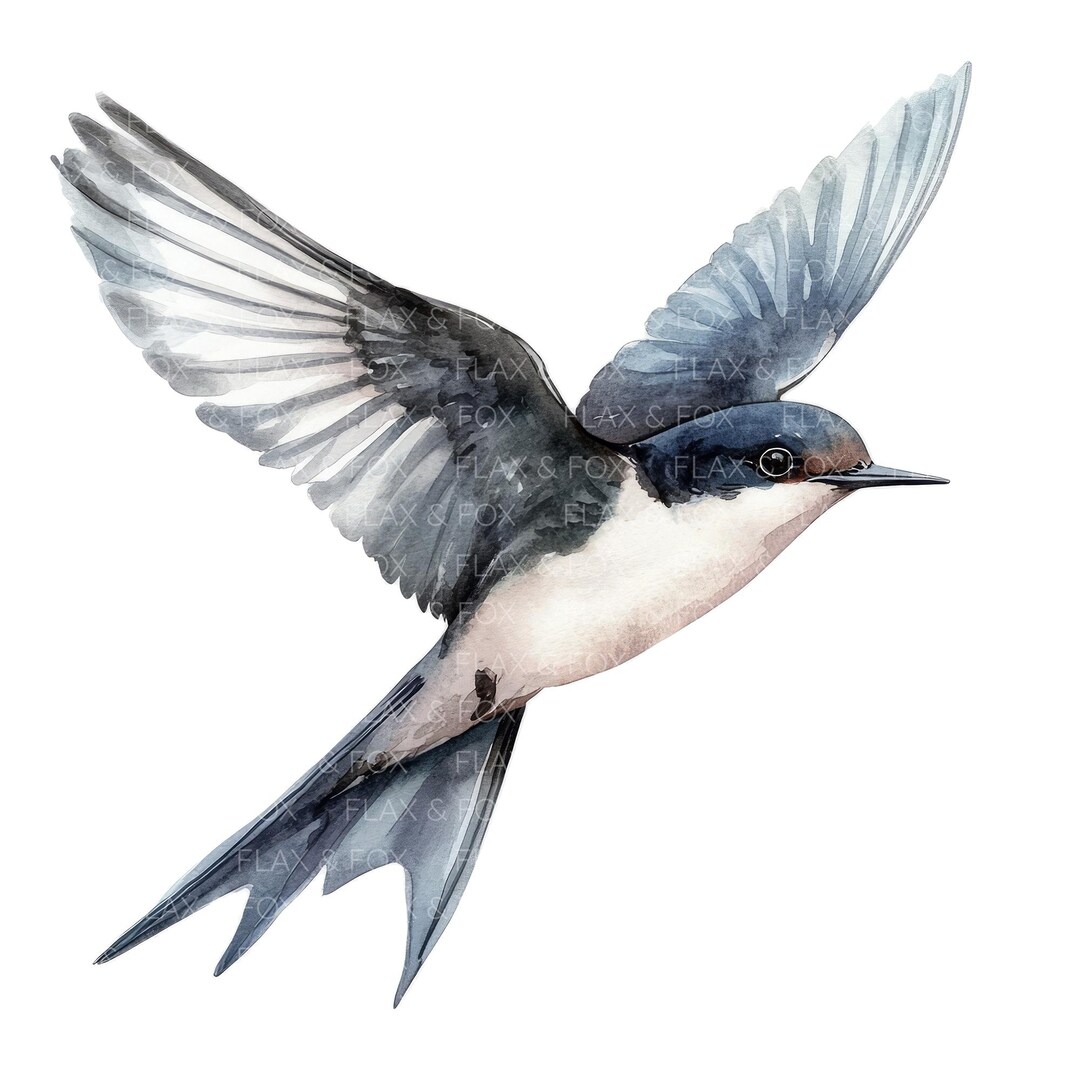 10 Swallow Clipart L Flying Swallow Bird L JPG Digital Download L ...