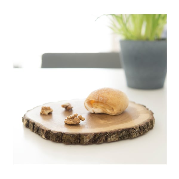 Oak Wood Slice - Etsy