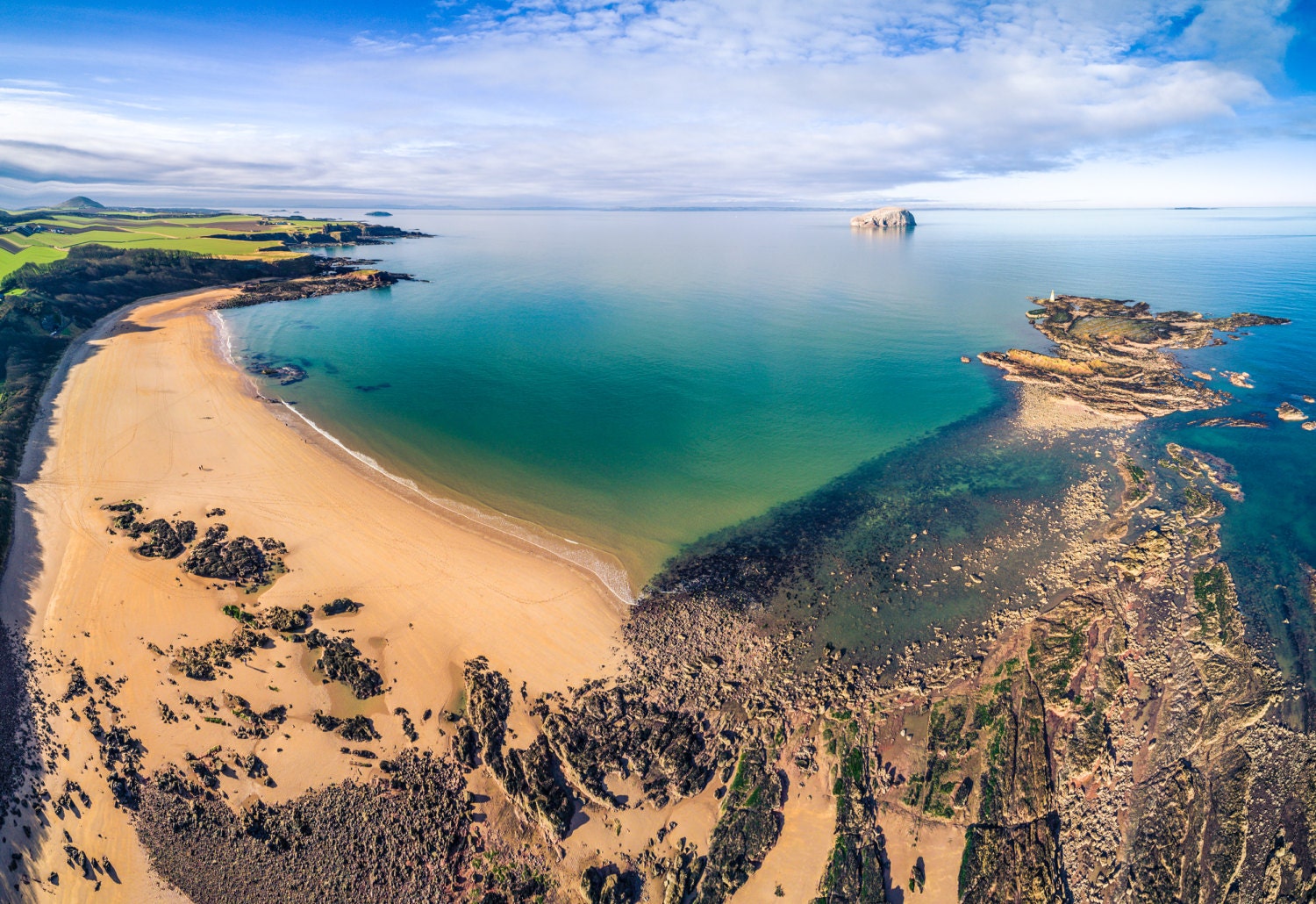 Does Seacliff Beach Allow Dogs