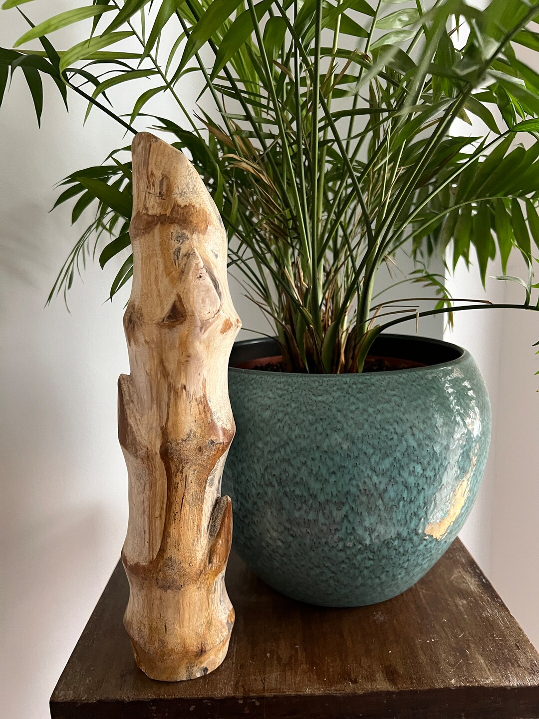 Unique Standalone Bamboo Branch Wood Petrified Fossil From Java ...