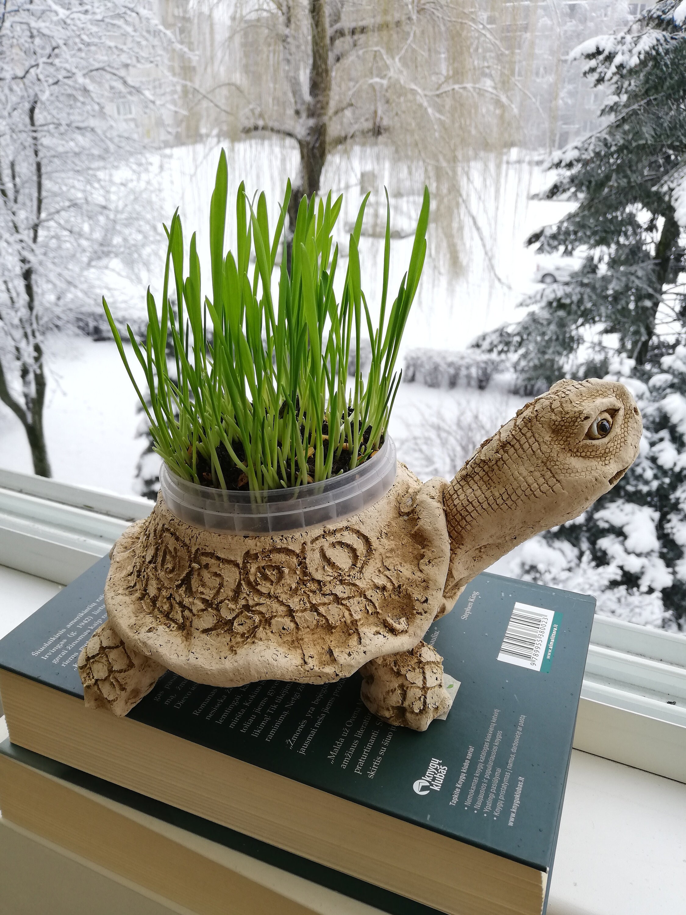 TURTLE Flower Pot Handmade Shamotte Clay Home&Garden Decor | Etsy