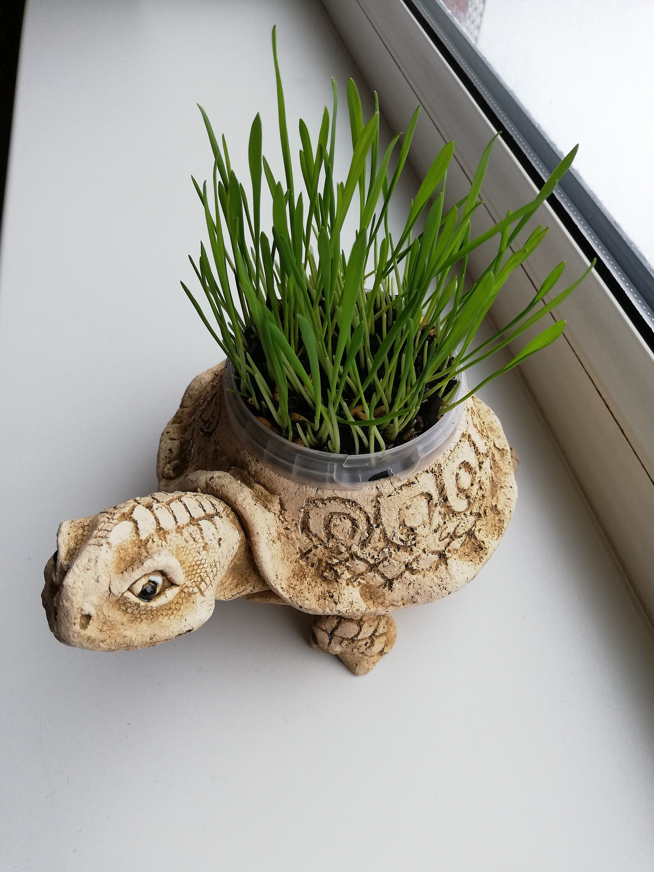 TURTLE Flower Pot Handmade Shamotte Clay Home&Garden Decor | Etsy