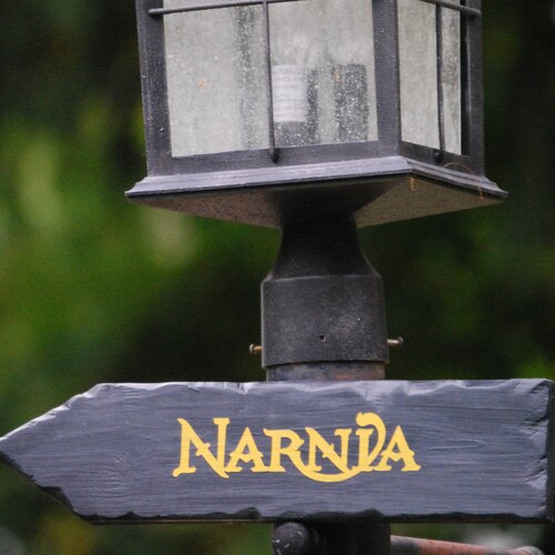 Rustic Hand Painted Narnia Directional Sign / Chronicles of - Etsy