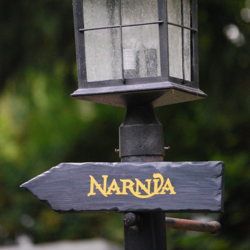 Chronicles of Narnia - Etsy