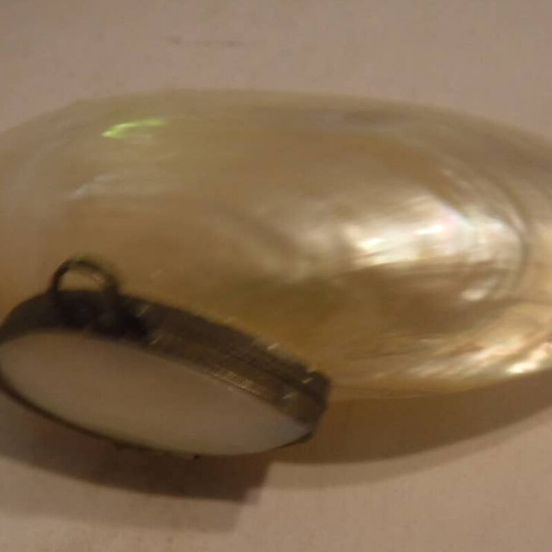 Shell Pill Box - Etsy