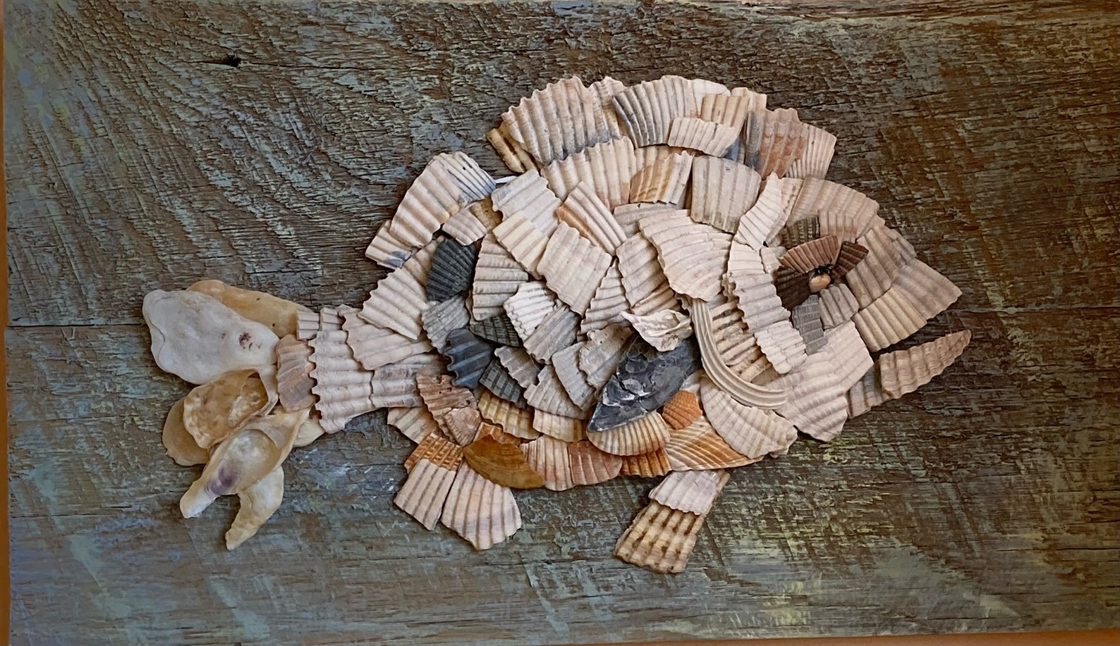 Shell Fish Decor - Etsy