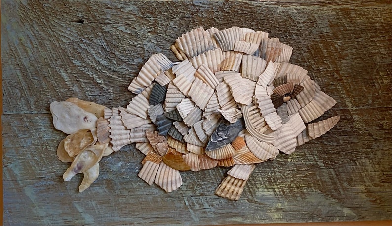 Shell Fish Decor - Etsy