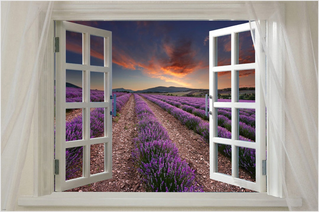 Scenic Beautiful Nature Open Window View Onto Lavender Field Purple ...