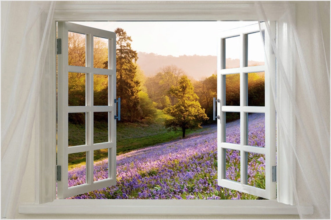 Decorative Open Window to Violet Flower Field Lovely Meadow Vibrant ...