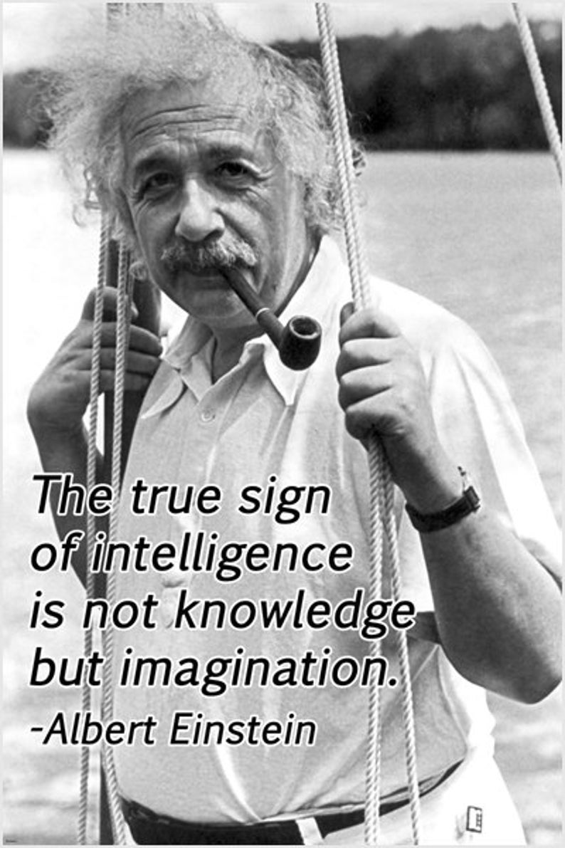 Genius Wisdom Inspiration Motivation Quote About Intellibence and ...