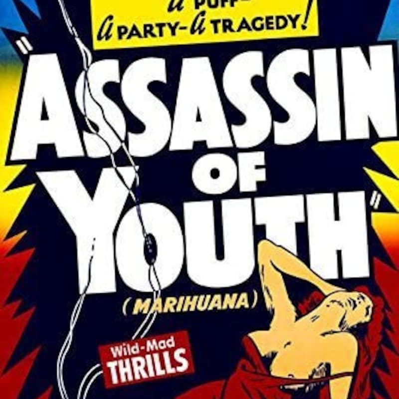 History of the Assassins - Etsy