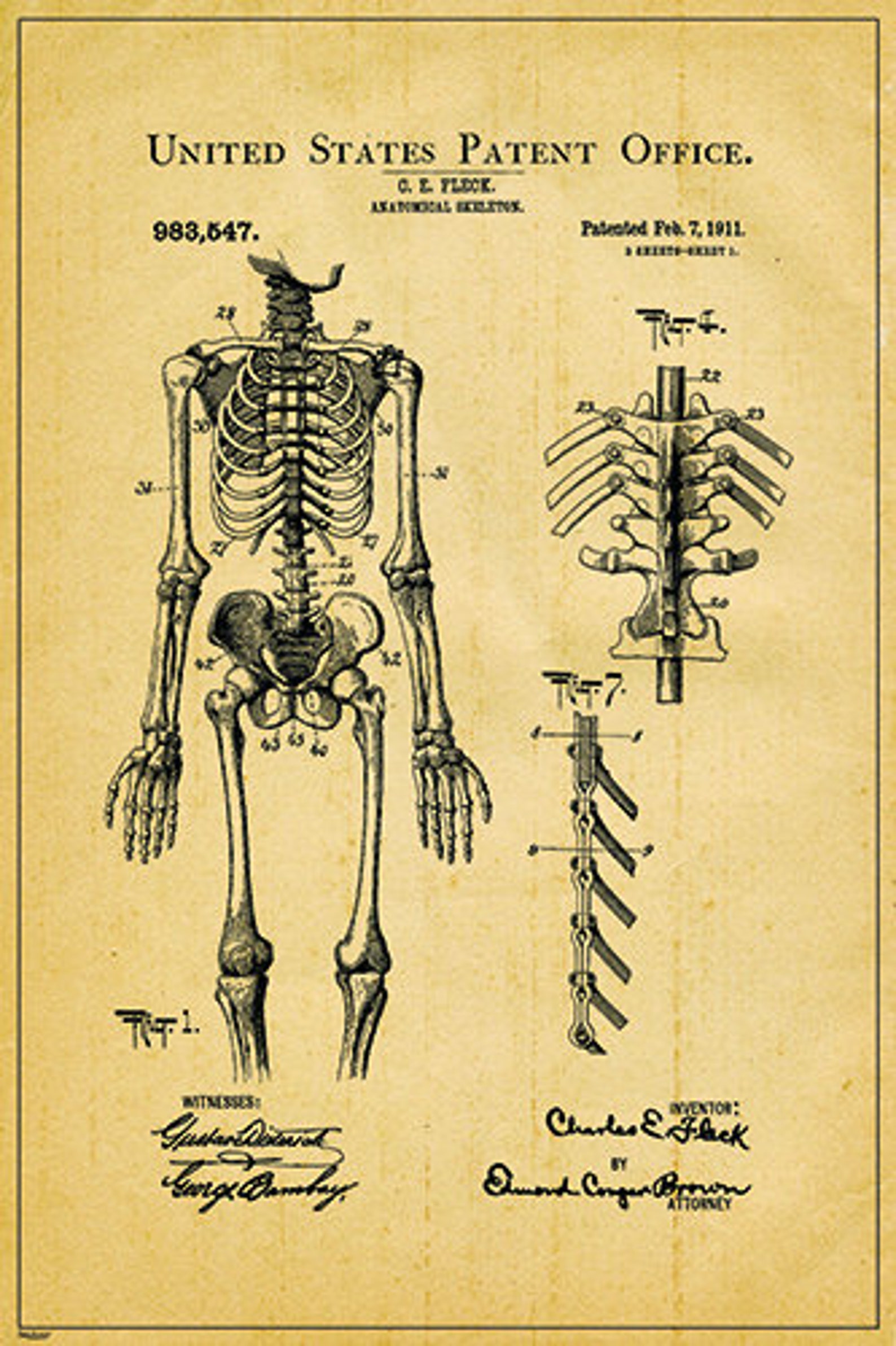 1911 Medical Anatomical Skeleton US Patent Blueprint Engineering ...