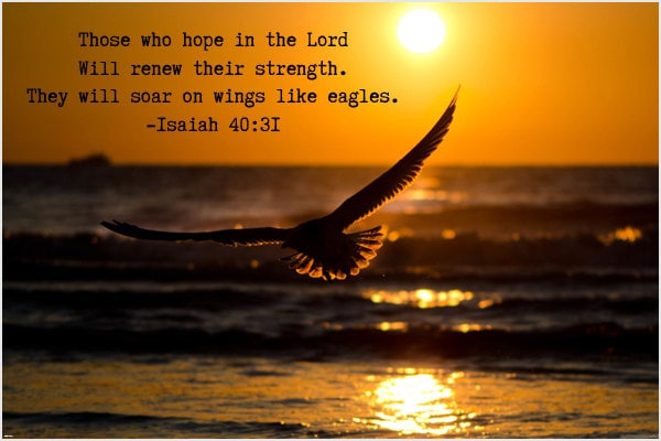 God Scripture Wall Art Isaiah 40:31 Biblical Verse Inspiration ...