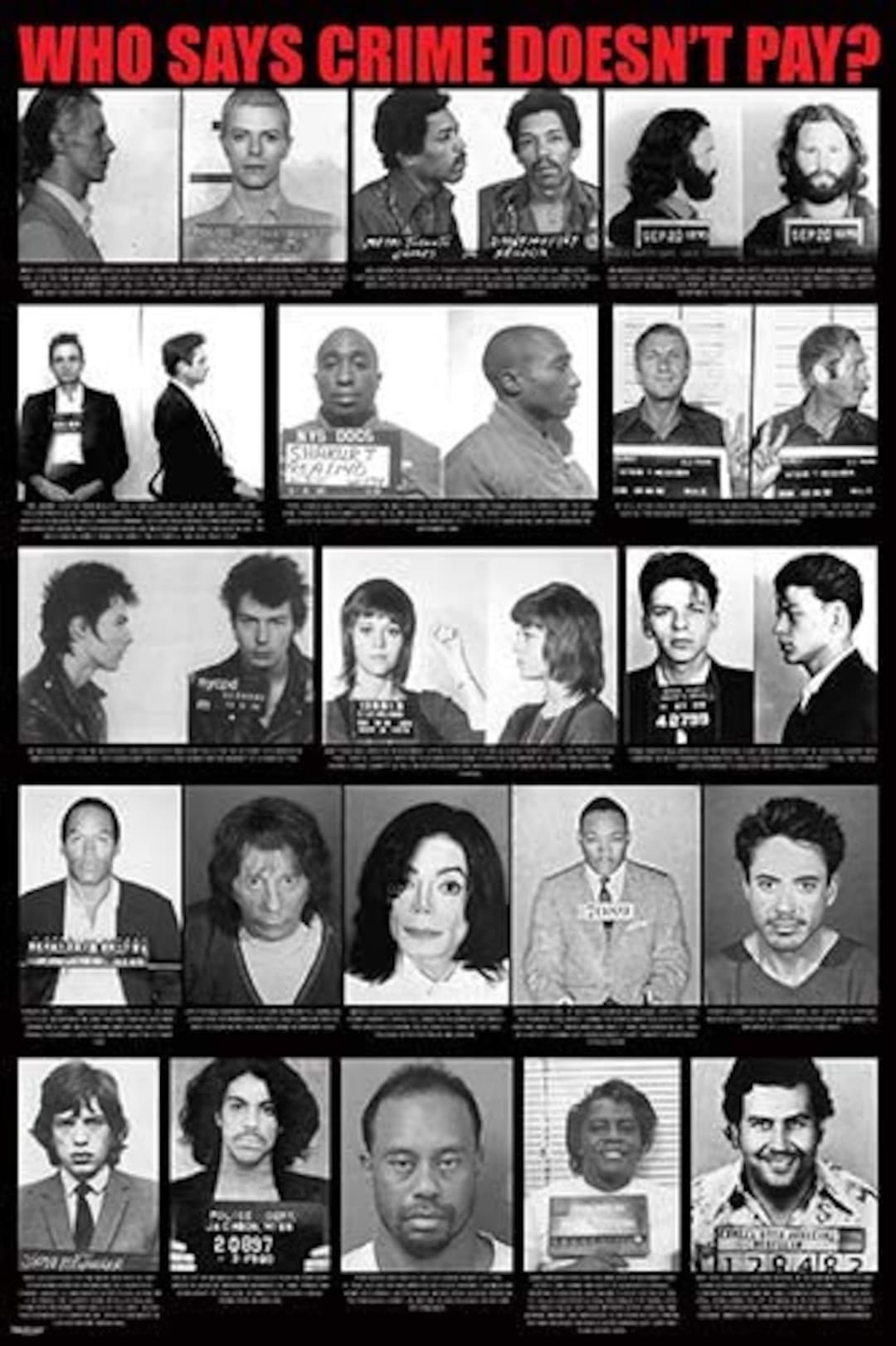 Police Mugshot of Celebrities With Arrest History Poster Home Decor ...