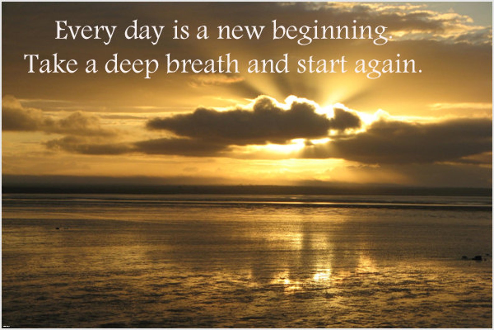 Sunrise Over Golden Light Calm Water Tidal Flats Inspiration Motivation ...