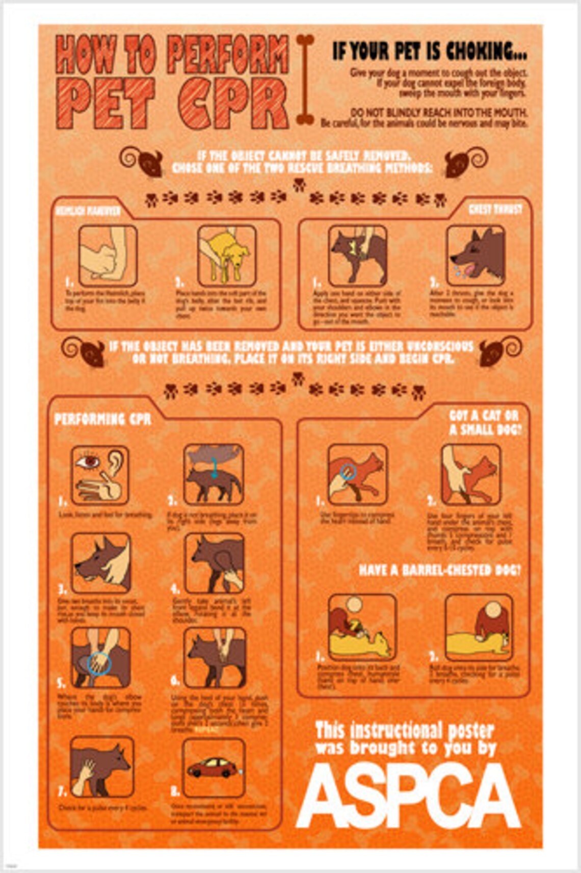 Pet CPR Self Help Instructional Guide Poster Unique Educational First ...