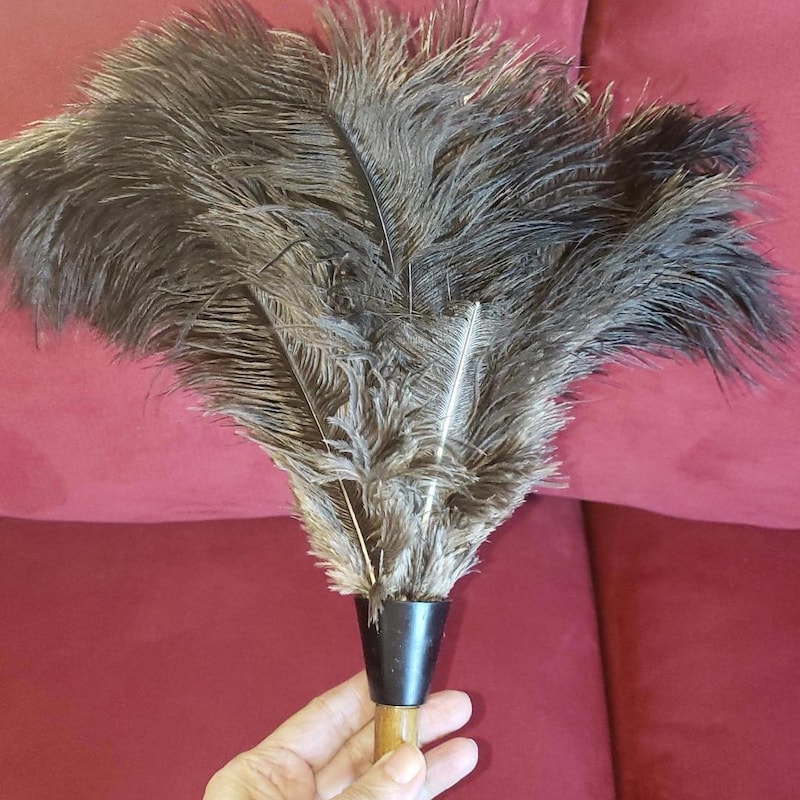 Feather Duster - Etsy