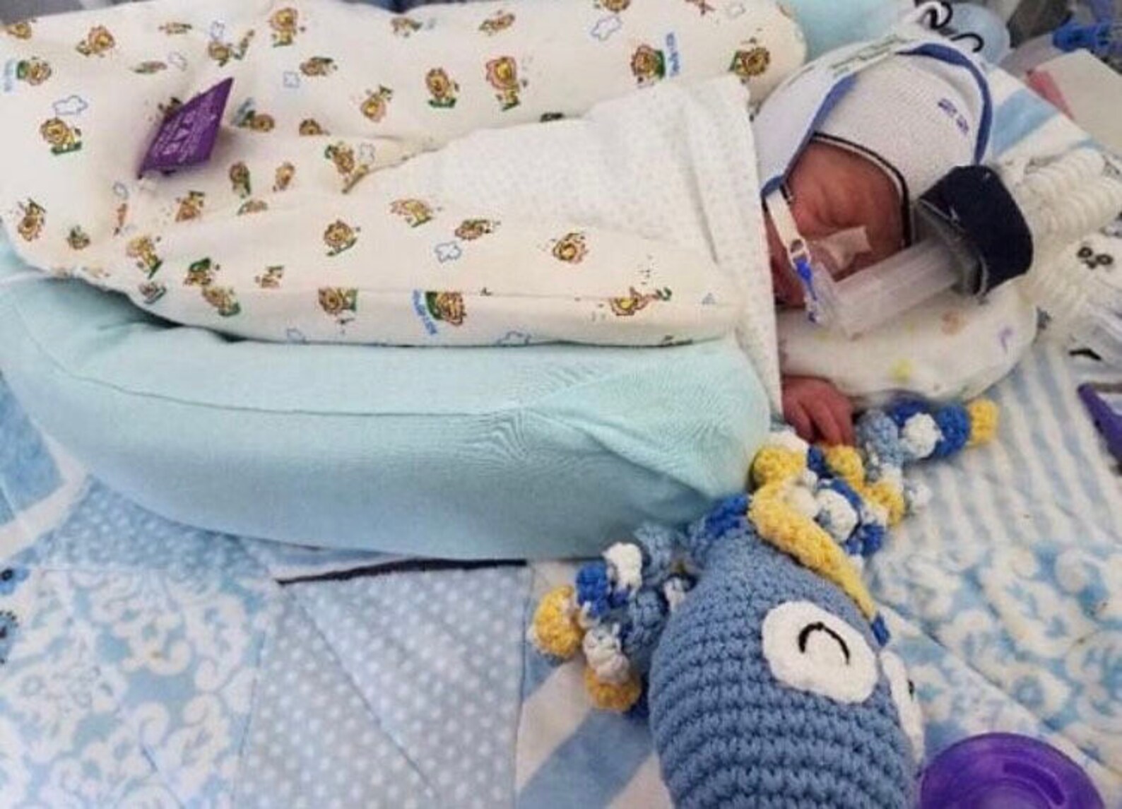 PATTERN ONLY Crochet Preemie Octopus Preemie Comfort NICU - Etsy UK