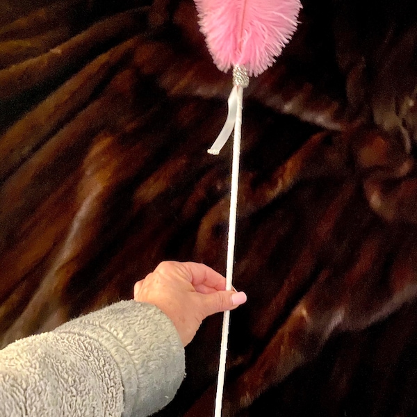 Feather Tickler - Etsy