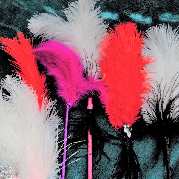 Feather Tickler - Etsy