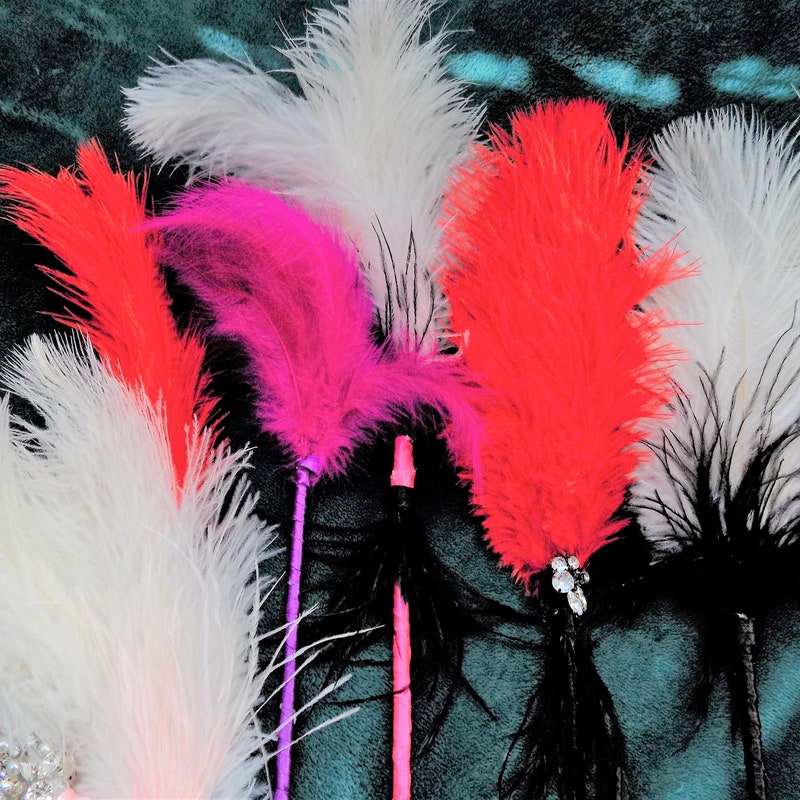 Feather Tickler - Etsy