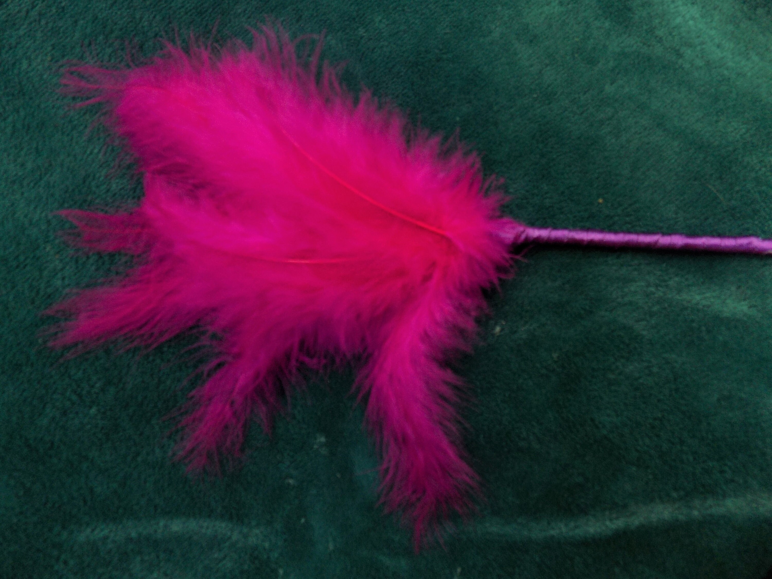 Feather Stroking Massage Stick with Soft Long Ostrich Feathers | Etsy