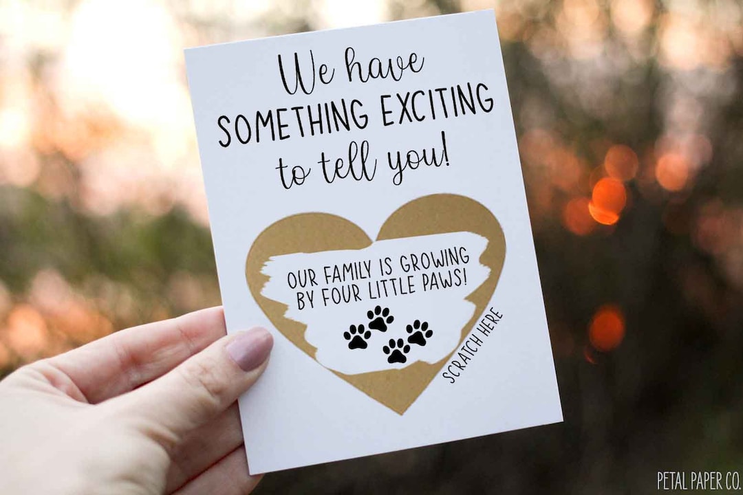New Pet Announcement - Our Family is Growing by Four Little Paws - We ...