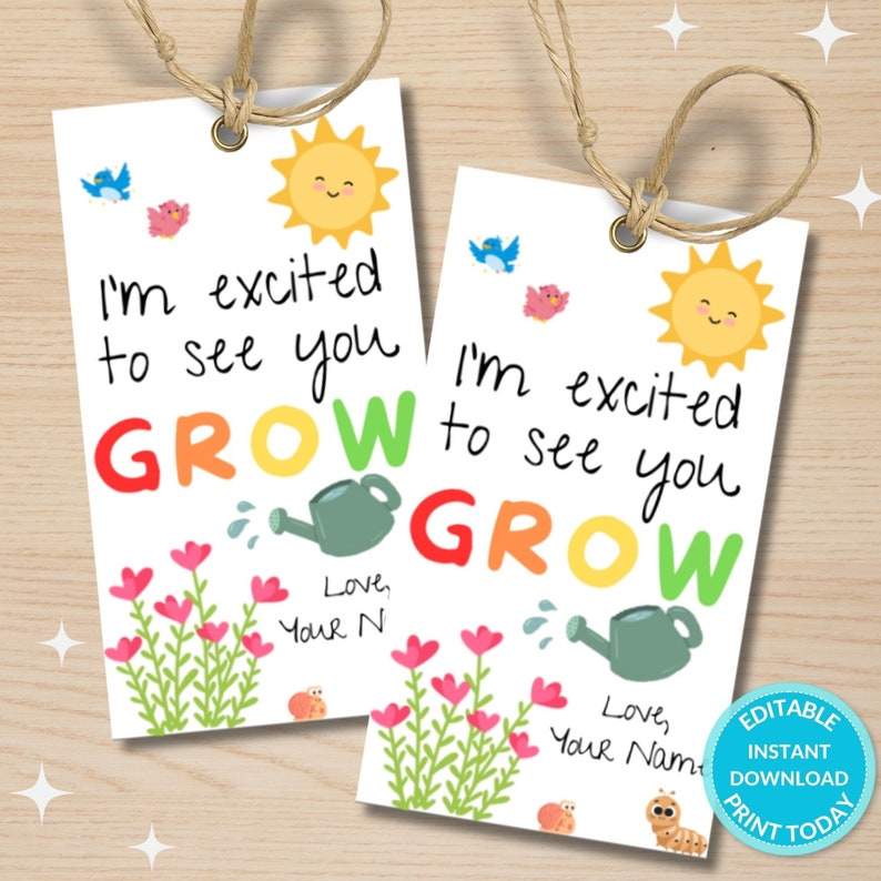 First Day of School Gift Tags, Printable I'm Excited to See You Grow ...