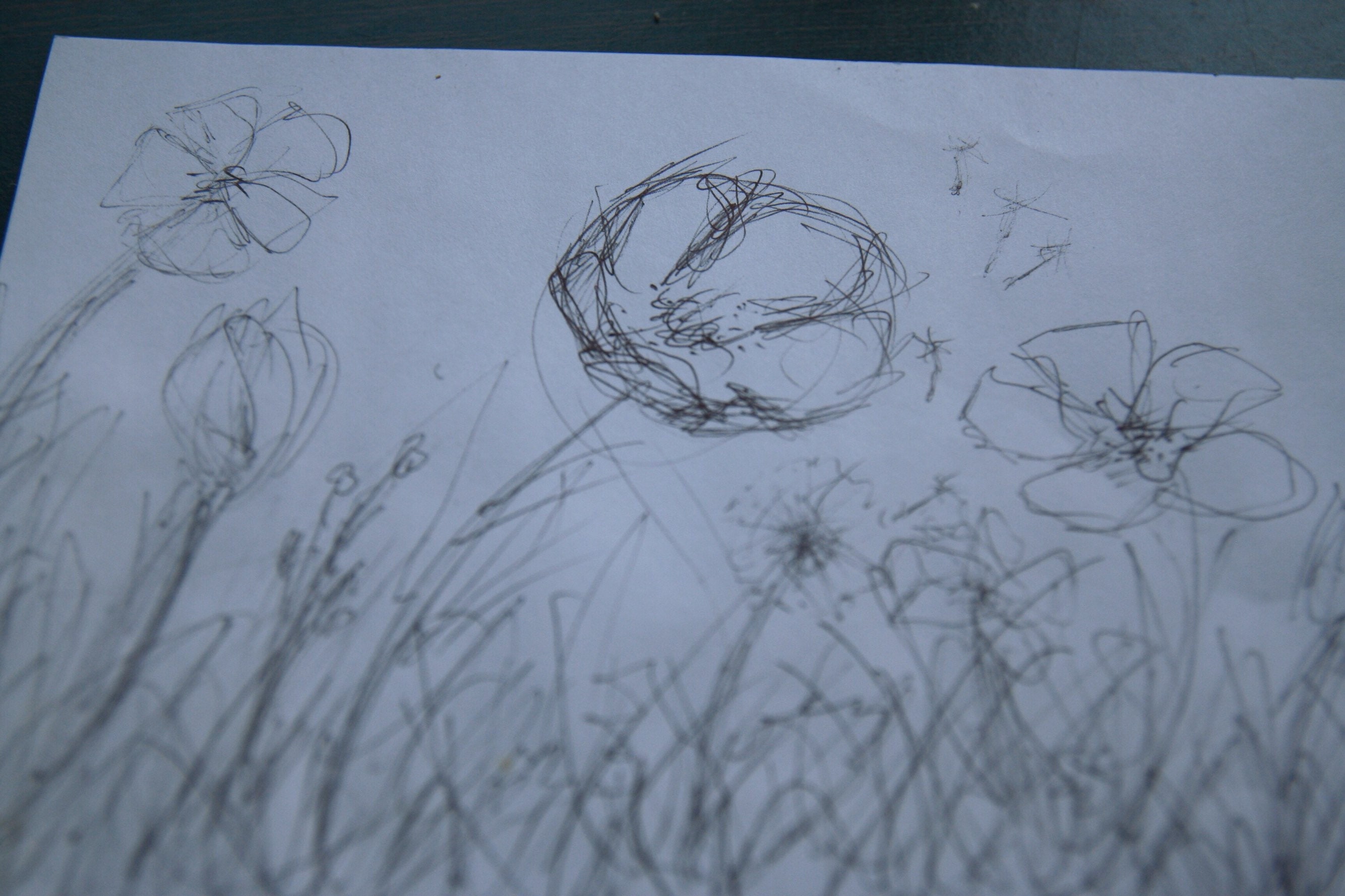 Black and White Pen Sketch of Flower Meadow- Original Drawing - Etsy