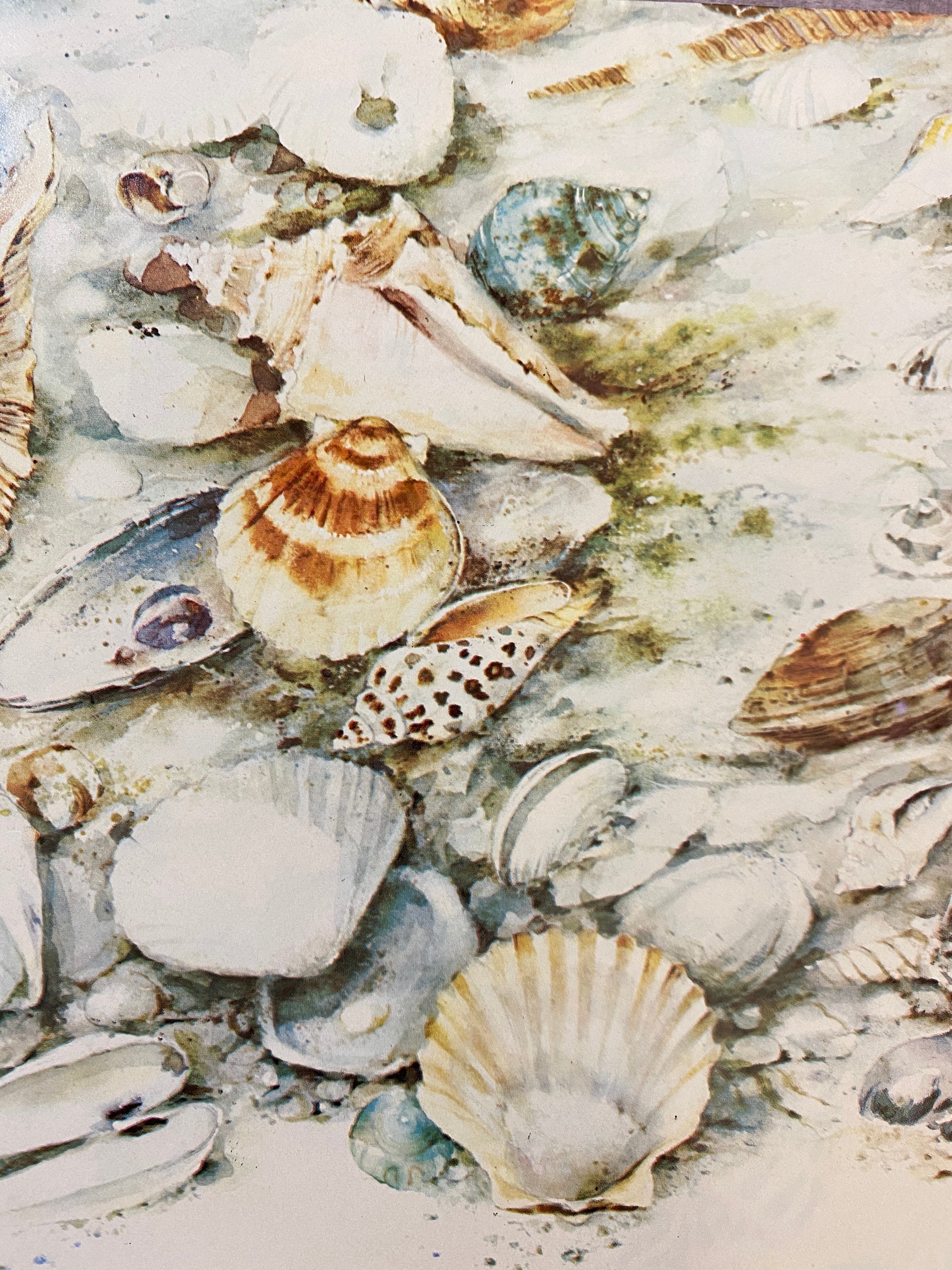 Vintage Nautical Wrapping Paper. Seashell Gift Wrap. Seagull | Etsy