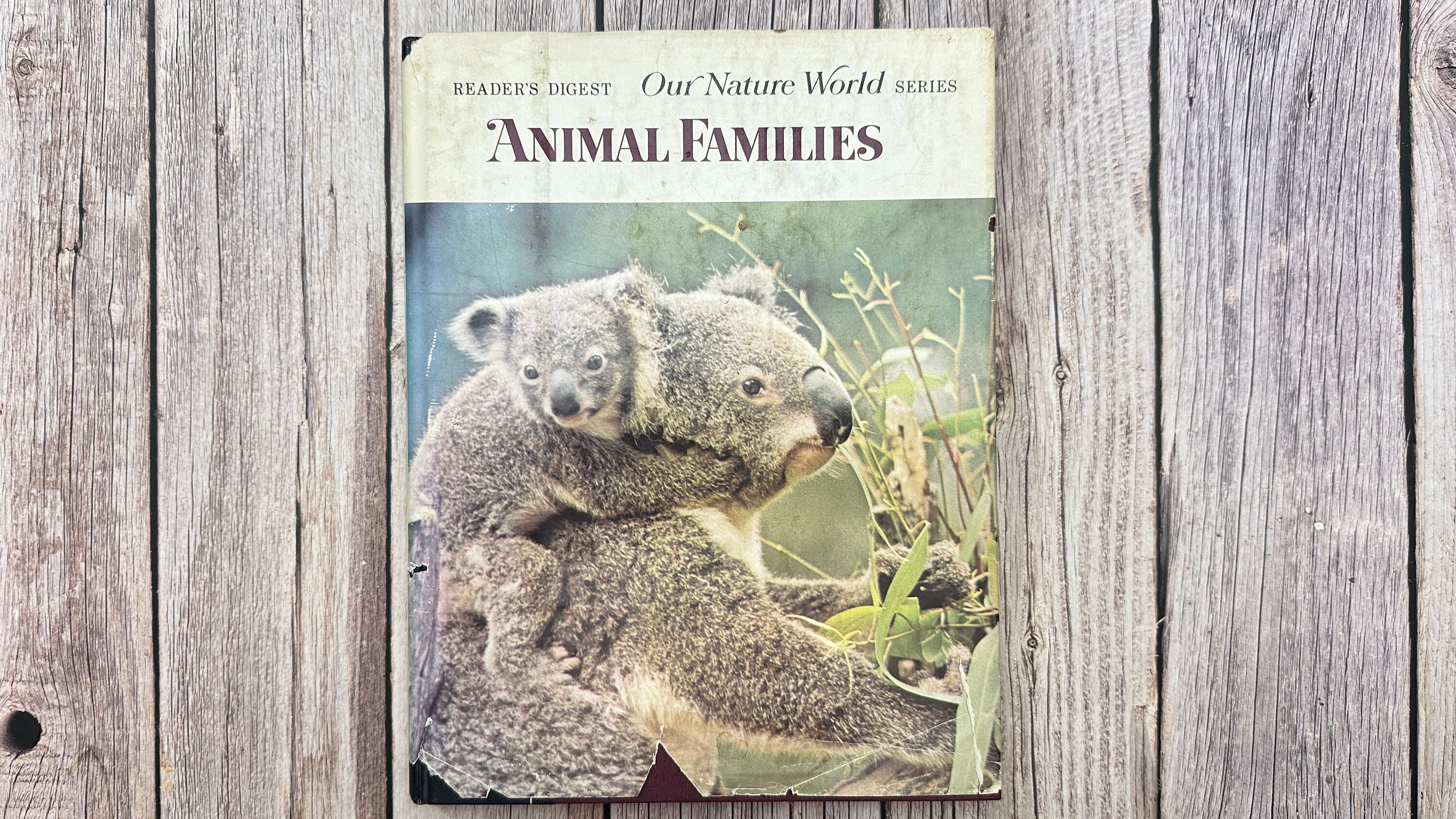 Reader's Digest, Our Nature World Series. Animal Families. Vintage Book ...