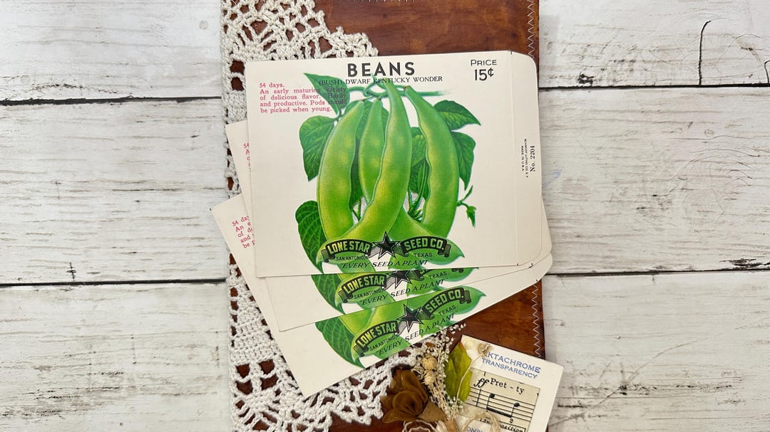 Large Vintage Bean Seed Packets - Empty Set of 3 - Junk Journal and ...