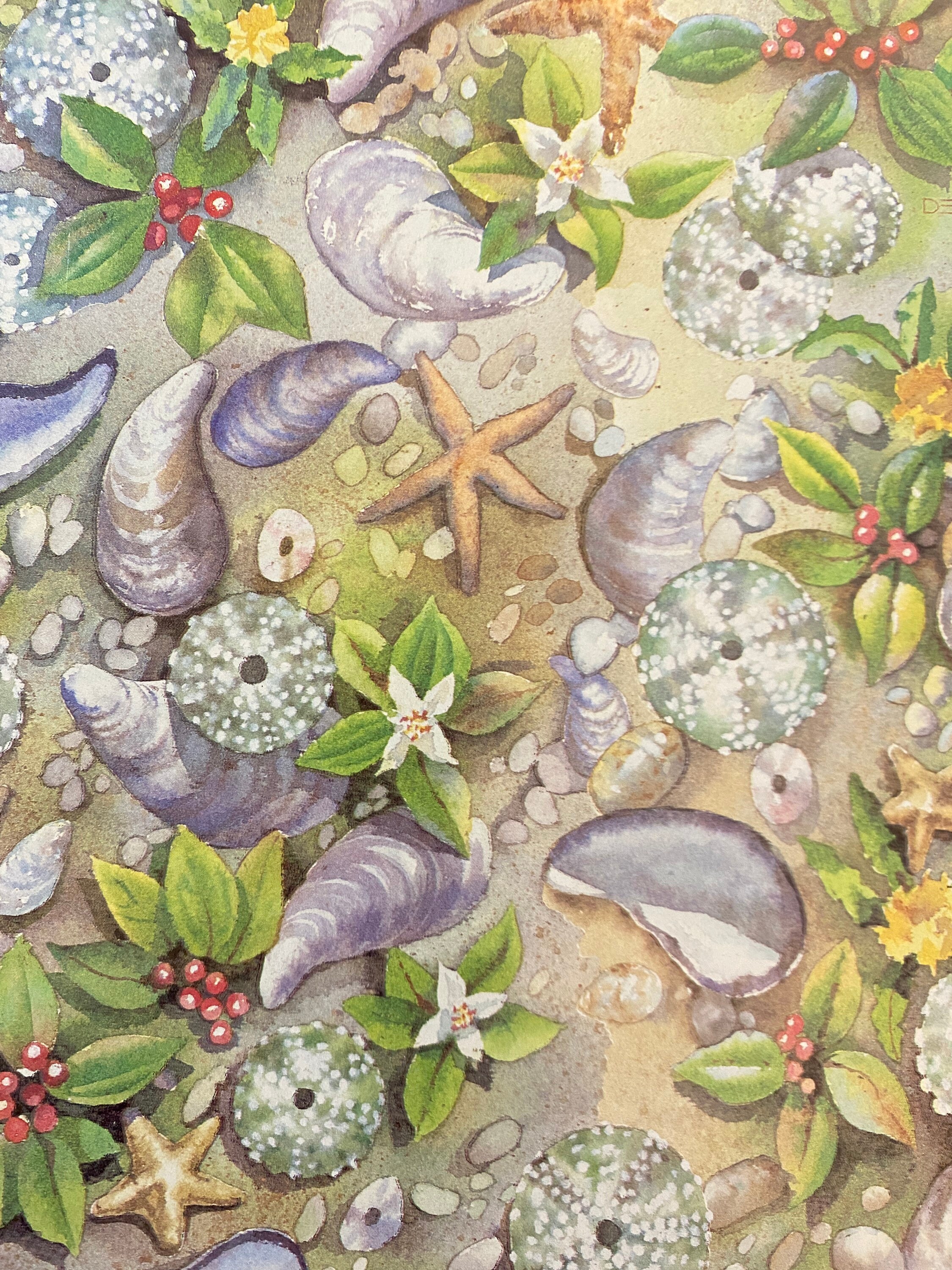 Vintage Nautical Wrapping Paper. Seashell Gift Wrap. Seagull | Etsy