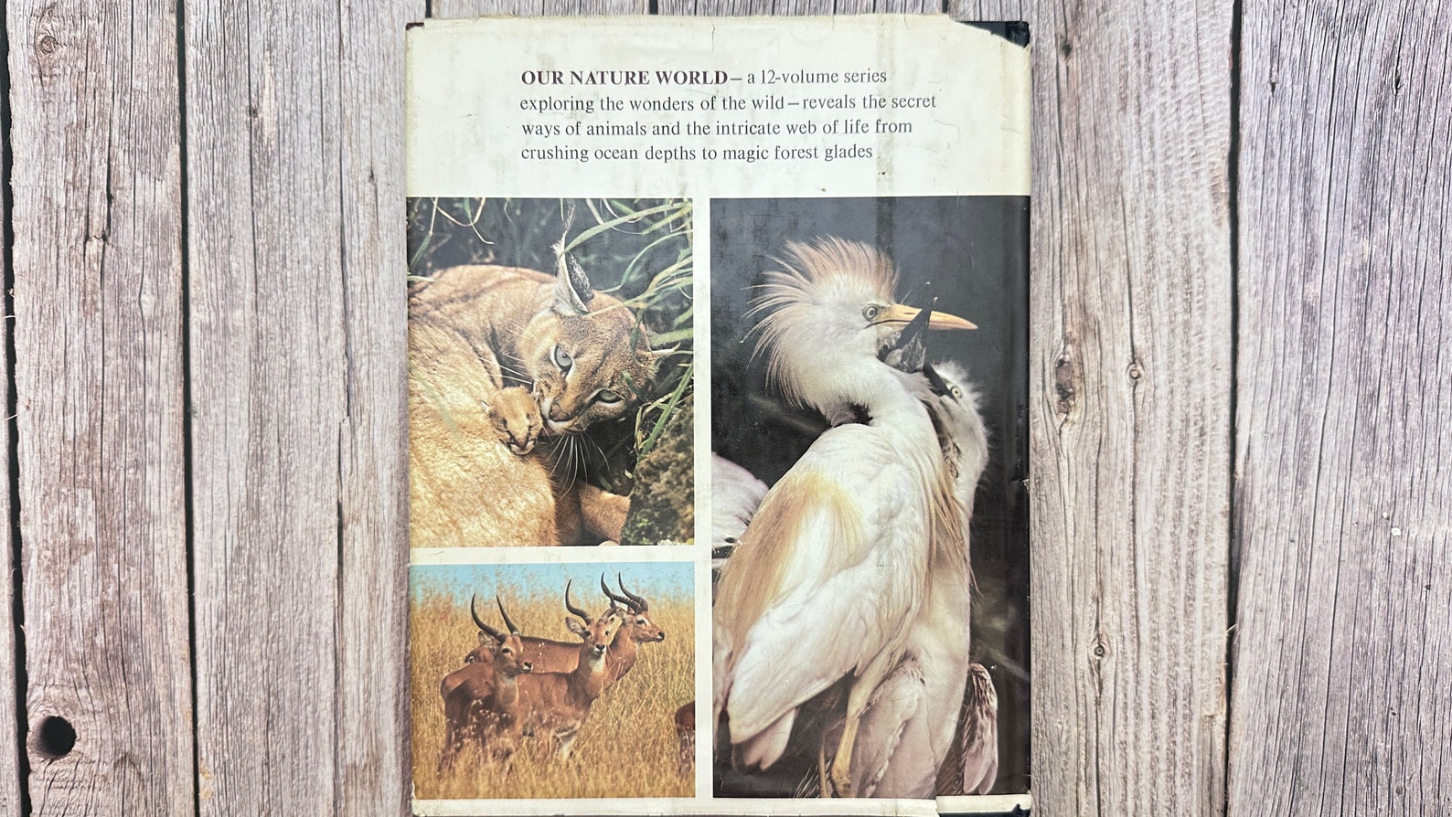 Reader's Digest, Our Nature World Series. Animal Families. Vintage Book ...