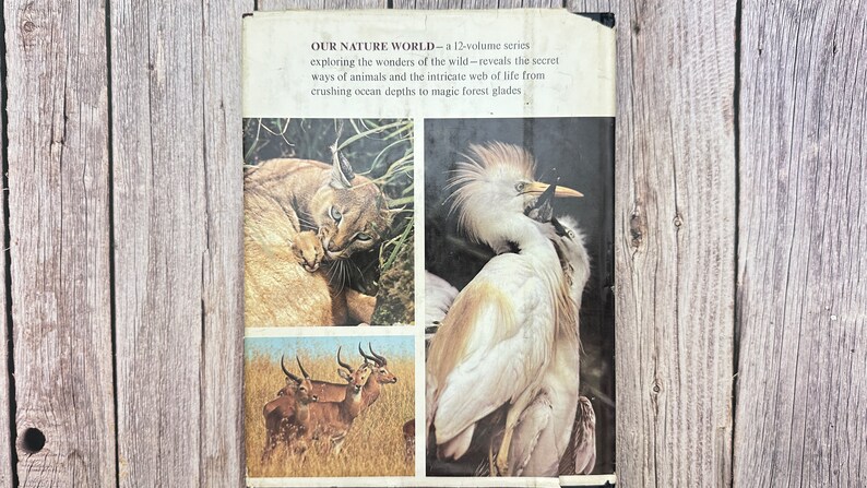 Reader's Digest, Our Nature World Series. Animal Families. Vintage Book ...