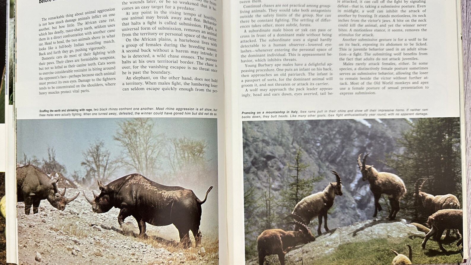Reader's Digest, Our Nature World Series. Animal Families. Vintage Book ...