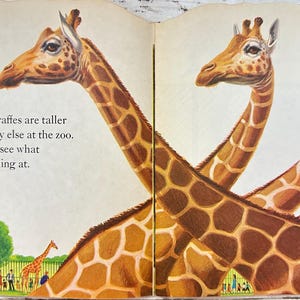 The Zoo Book - A Golden Shape Book - Paperback - Etsy