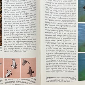 Reader's Digest, Our Nature World Series. Animal Families. Vintage Book ...