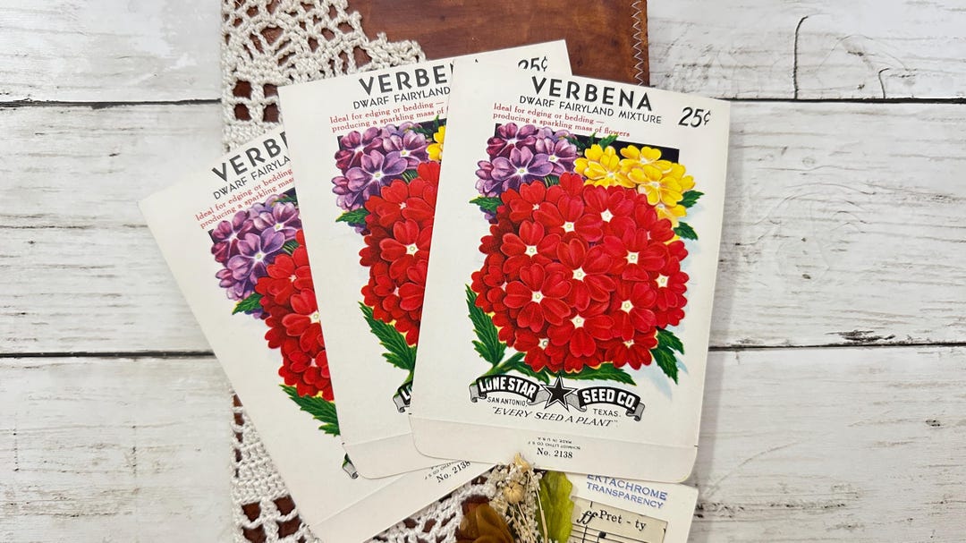 Large Vintage Verbena Seed Packets - Empty Set of 3 - Junk Journal and ...