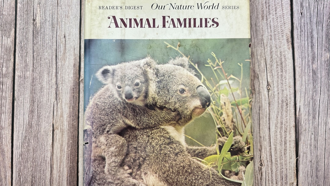 Reader's Digest, Our Nature World Series. Animal Families. Vintage Book ...