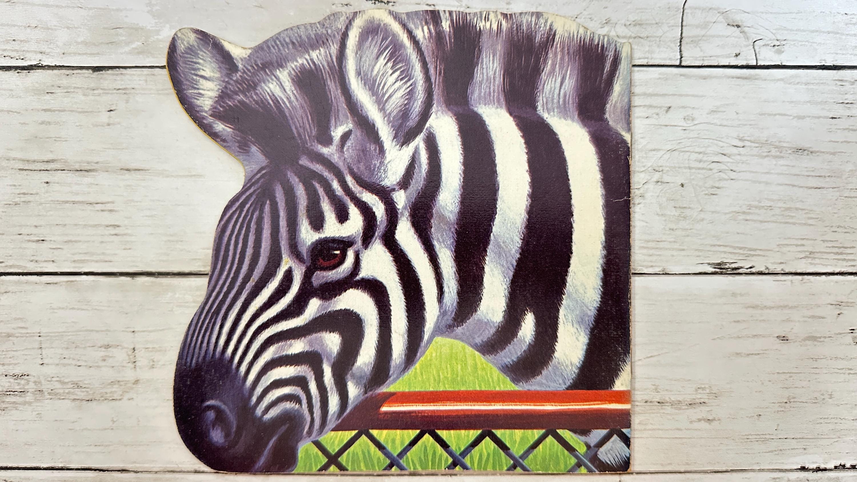 The Zoo Book - A Golden Shape Book - Paperback - Etsy