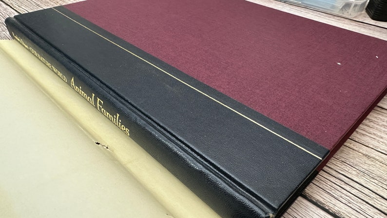 Reader's Digest, Our Nature World Series. Animal Families. Vintage Book ...
