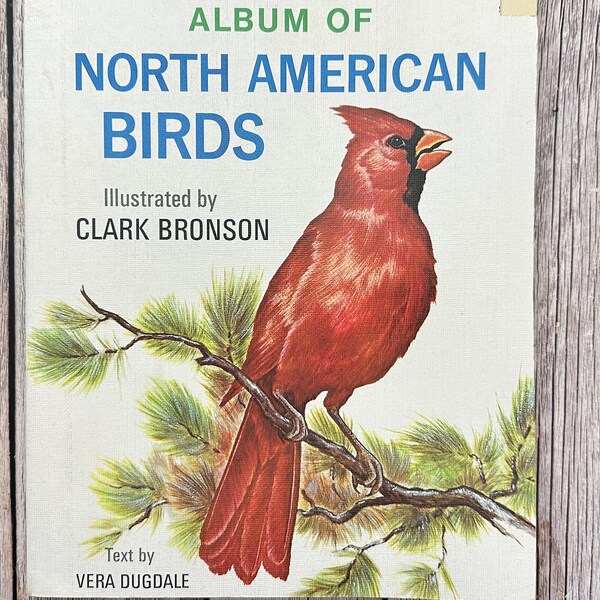 North American Birds - Etsy
