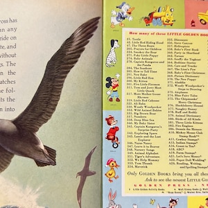 Birds of All Kinds, A Little Golden Book. First Edition. Vintage ...