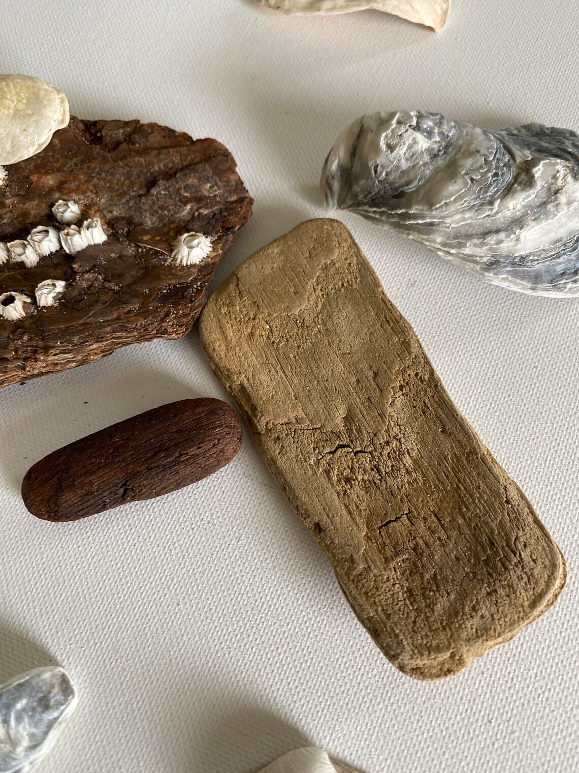 Set of Atlantic Ocean 10-shells and 3-tumbled Beach Wood - Etsy