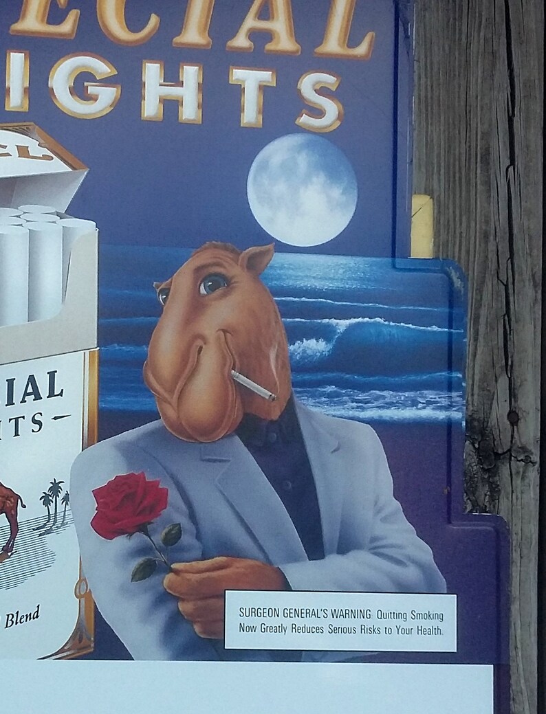 Joe Camel Special Lights Metal Sign: Vintage 90s Store Cigarette ...