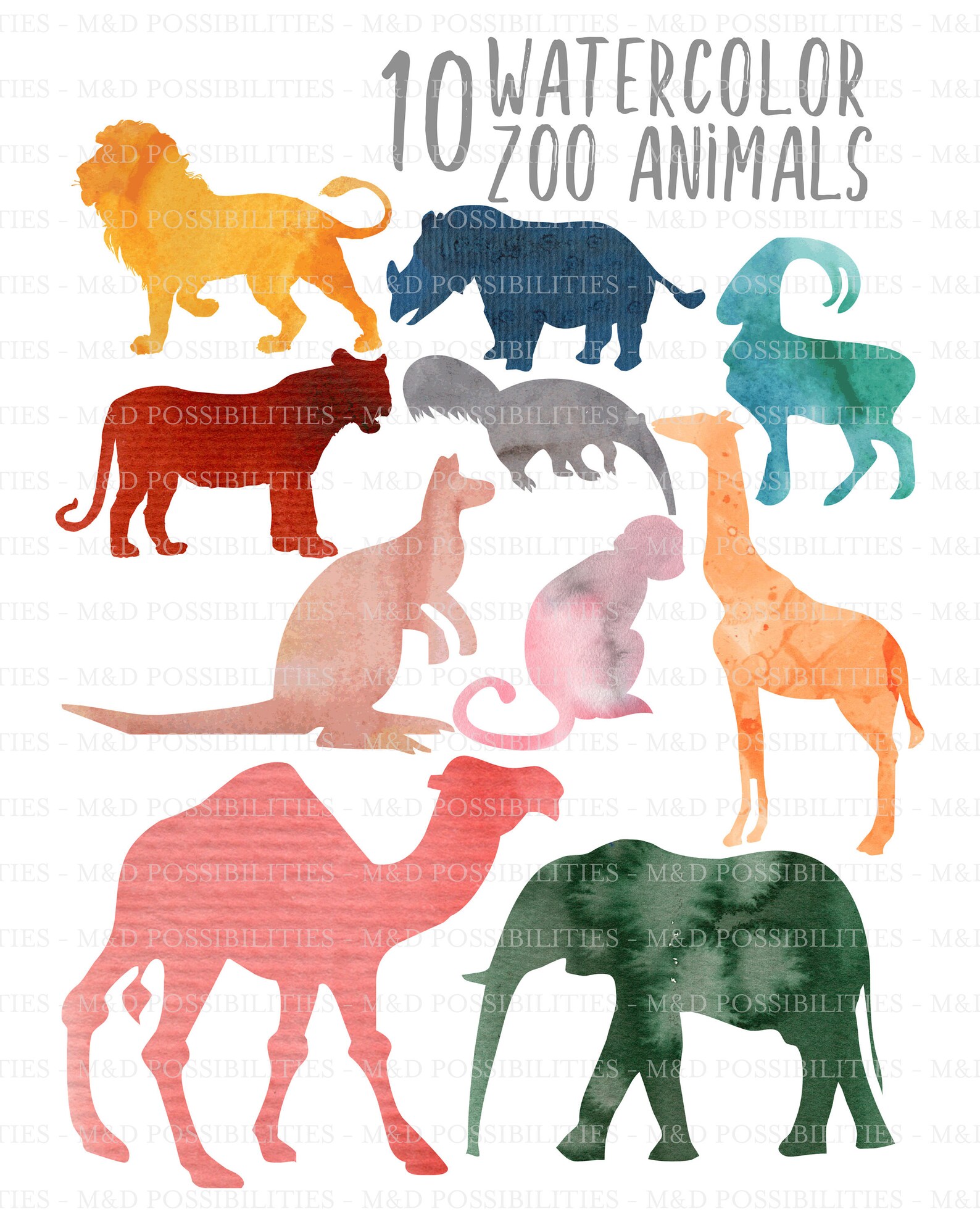 10 Watercolor Zoo Animals. Images. Digital Download - Etsy