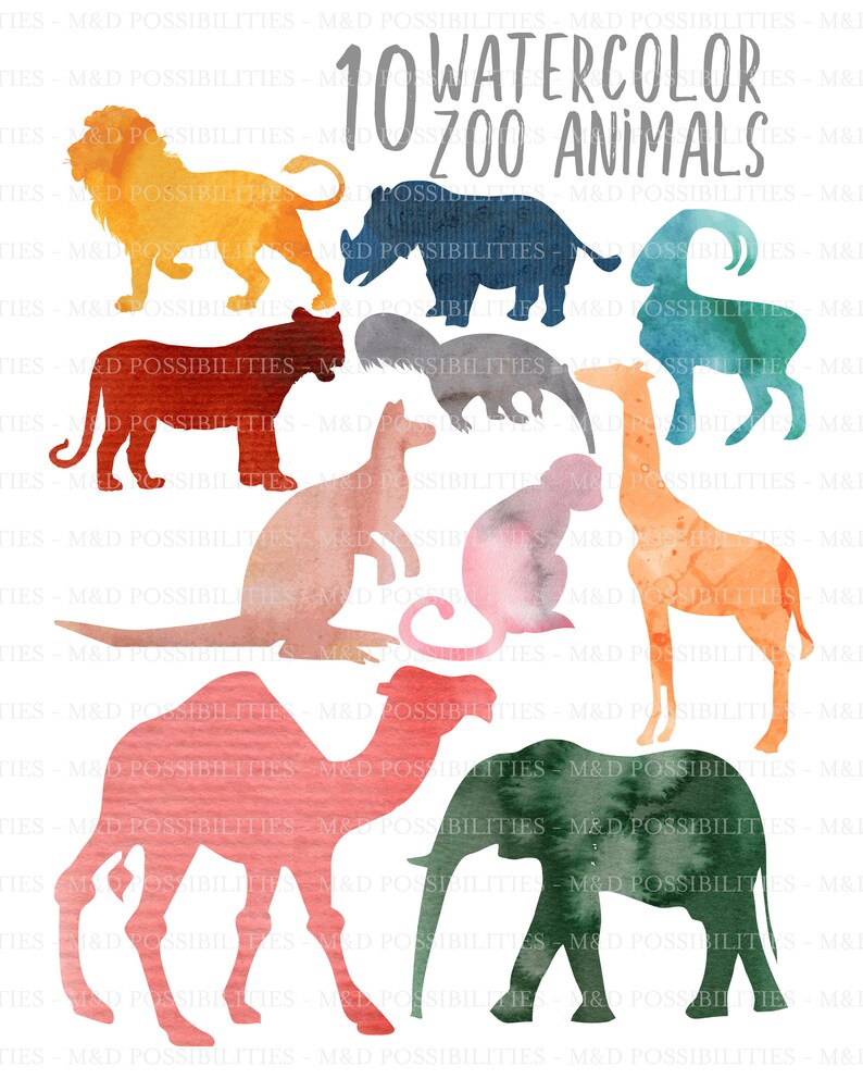 10 Watercolor Zoo Animals. Images. Digital Download - Etsy